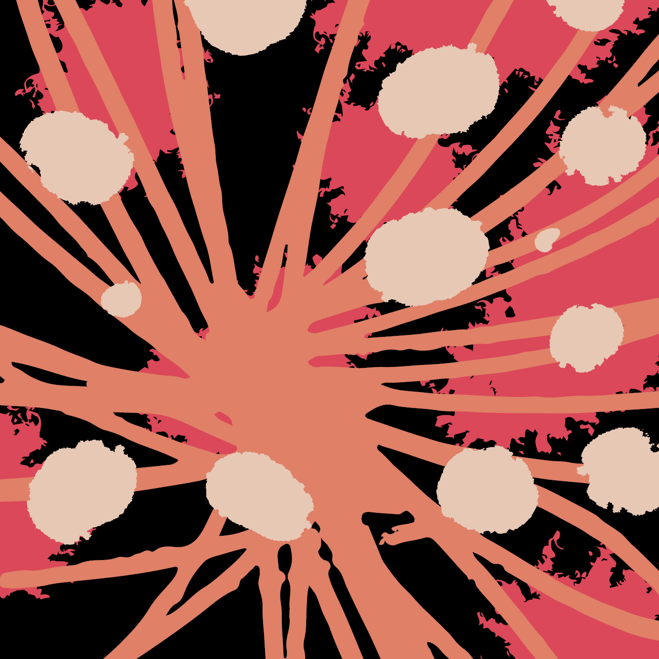 RWANDA Simbi 250g Coffee Beans | PIQUE Coffee