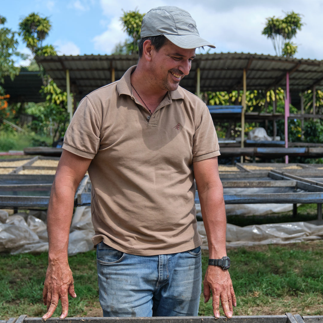 COSTA RICA El Venado 250g Coffee Beans | PIQUE Coffee