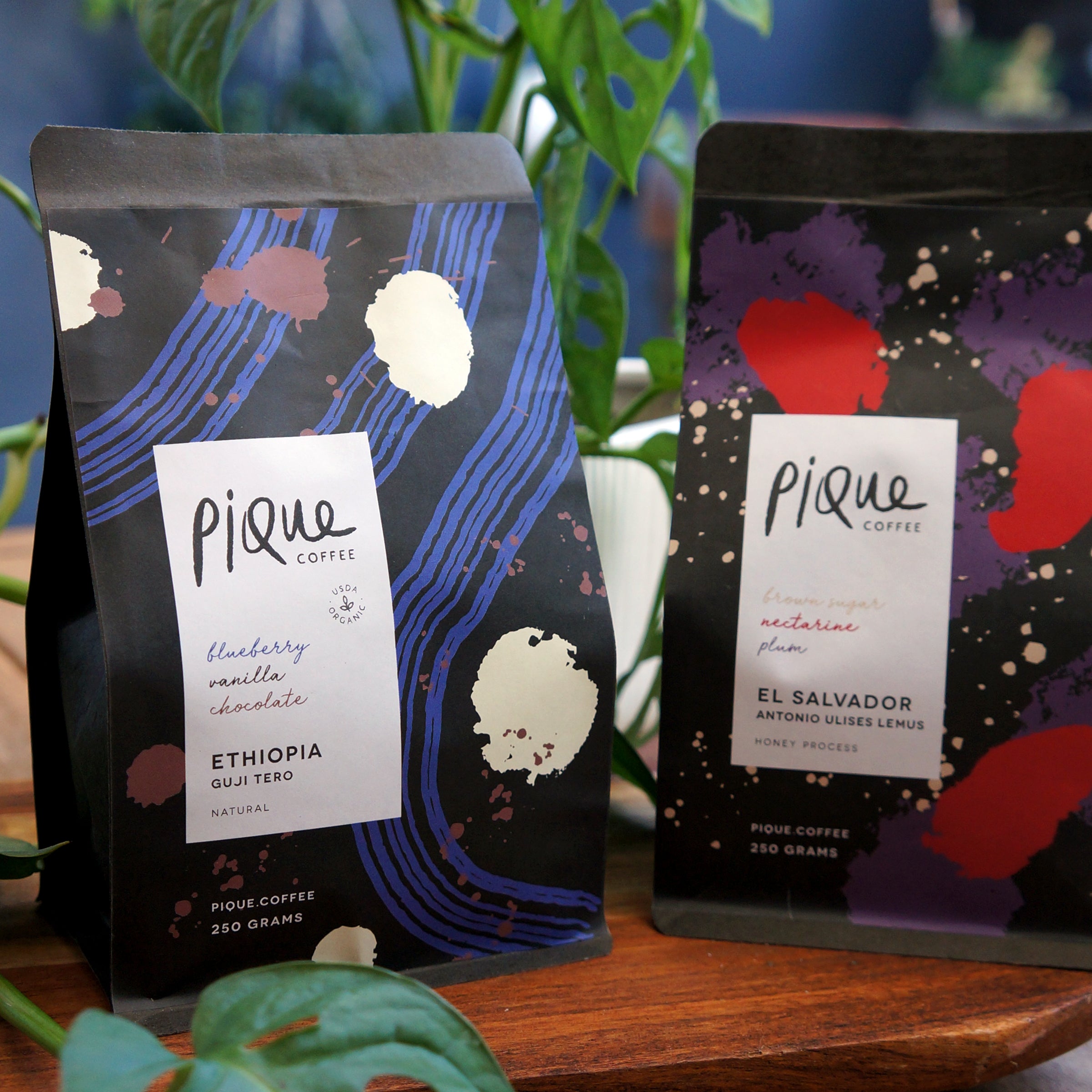 SINGLES BUNDLE Gift Box by PIQUE Coffee